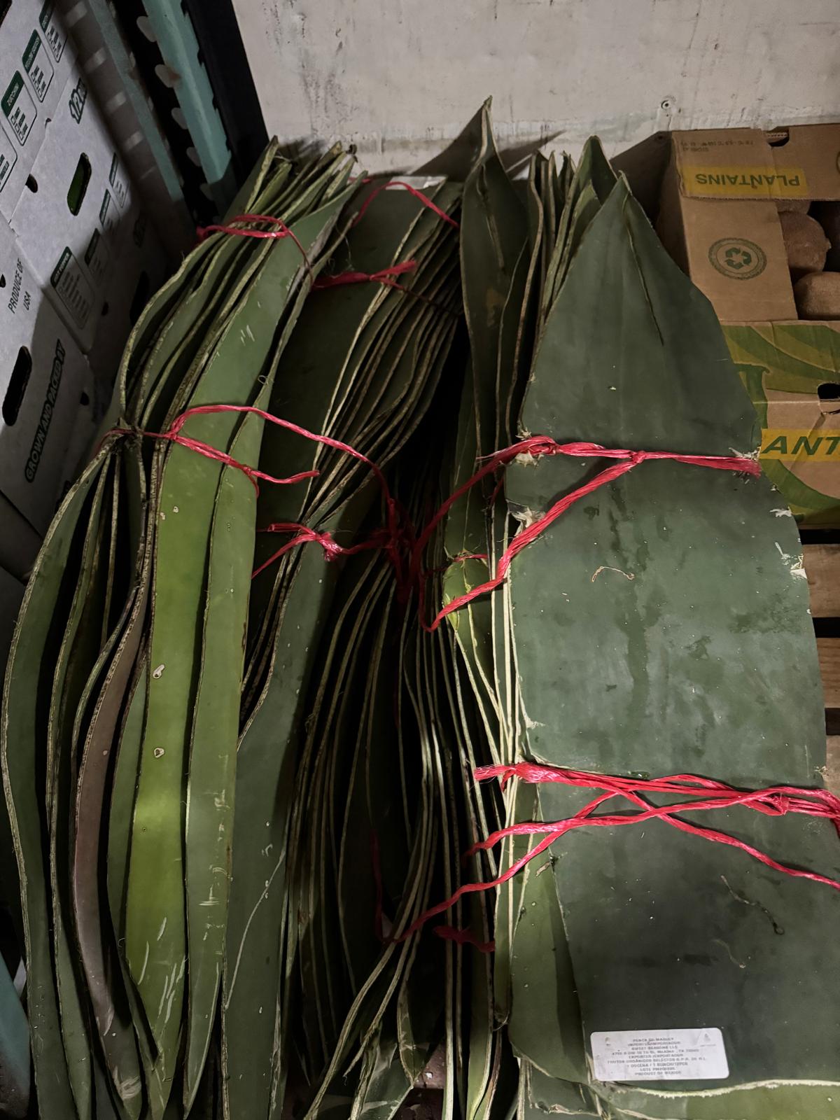 R&G Fresh Produce | Premium Wholesale Fresh Products